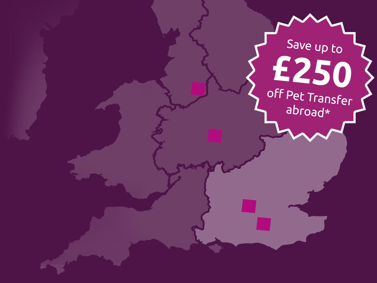 London | Transfur Animals